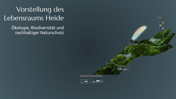 Vorstellung des Lebensraums Heide by Marie Siegler on Prezi