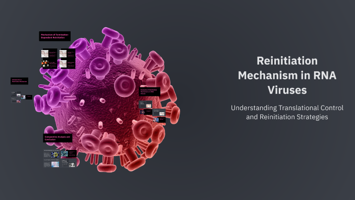 Reinitiation Mechanism in RNA Viruses by ملیحه الهامی on Prezi