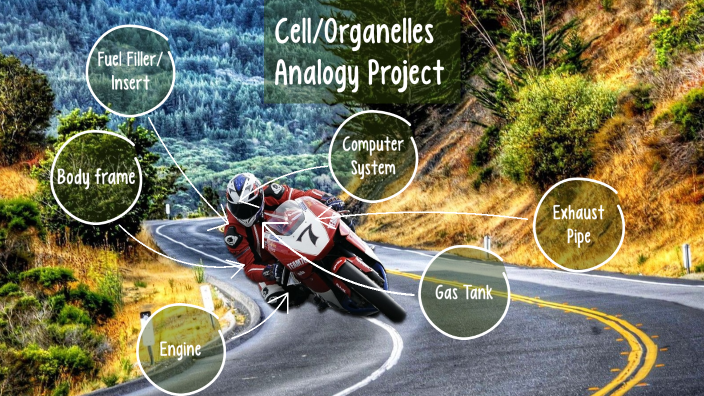 Cell/Organelles Analogy Project by Angelo Hong on Prezi