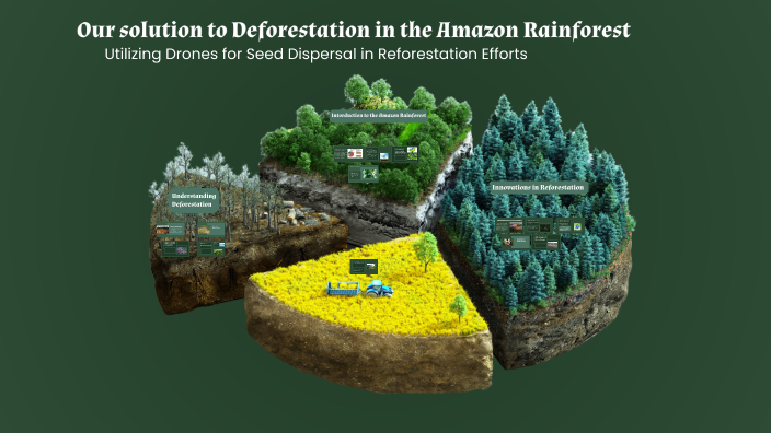 Solutions to Deforestation in the Amazon Rainforest by OWEN OLSON on Prezi
