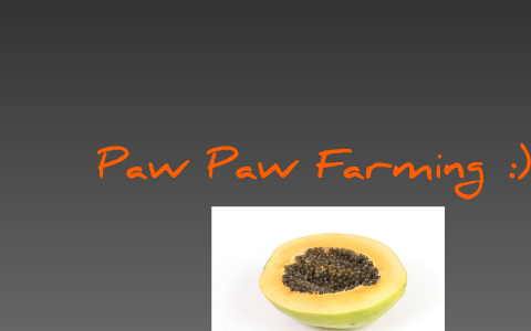 Paw Paw Farming :) by Jak Donaldson (midget :D) on Prezi