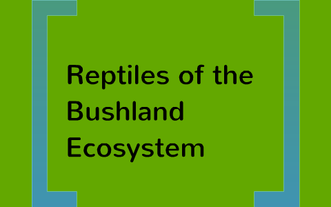 BMS Reptiles of the Bushland Ecosystem by jessica espinosa on Prezi