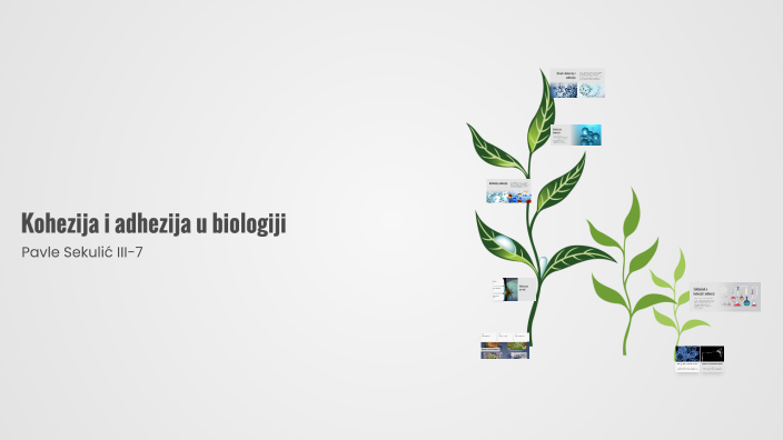 Kohezija i adhezija u biologiji by Pavle Sekulić on Prezi