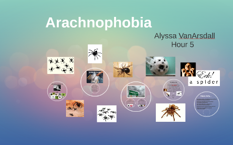 Arachnephobia - Fear of Spiders by Alyssa VanArsdall on Prezi