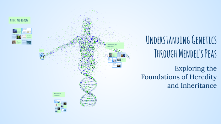 Understanding Genetics Through Mendel's Peas by Ana Viel Temperley on Prezi