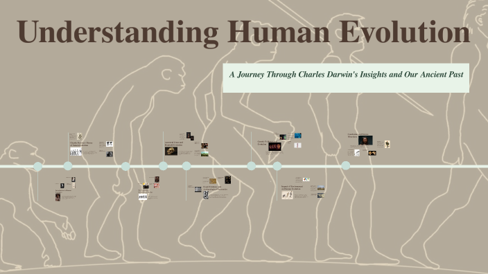 Understanding Human Evolution by on Prezi