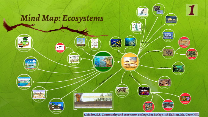 Mind Map: Ecosystems by Jessy Franco on Prezi