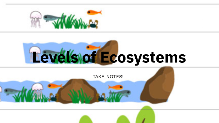 Levels of Ecosystems by Jordan Angelle on Prezi