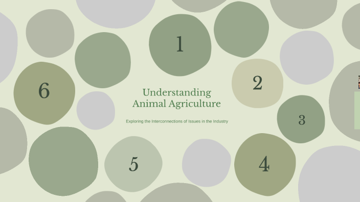Understanding Animal Agriculture by Kate Shirk on Prezi