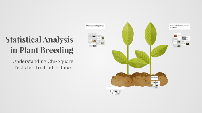 Statistical Analysis in Plant Breeding by juan gonzalez on Prezi