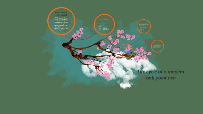 Life cycle of a modern by on Prezi