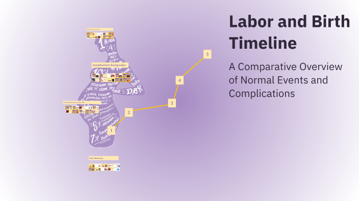 Labor and Birth Timeline by Erica Nelson on Prezi