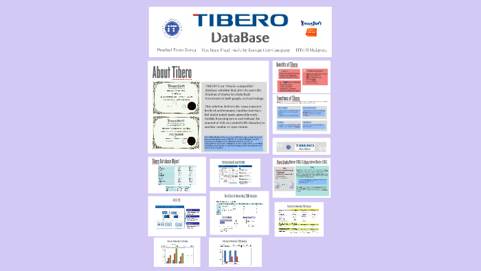 TIBERO DATABASE by on Prezi