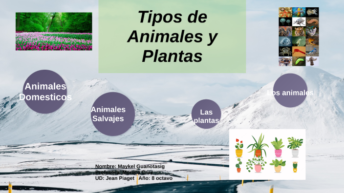 Tipos de Animales by MAYKEL GUANOTASIG on Prezi