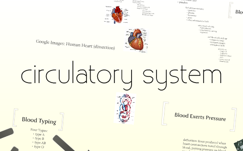Circulatory System - 7th Grade Brawley Middle by Jill Hoffman on Prezi