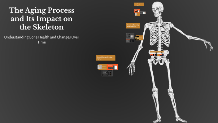 The Aging Process and Its Impact on the Skeleton by Aiden Walker on Prezi