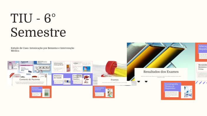TIU - 6° semestre by Anna Luiza on Prezi