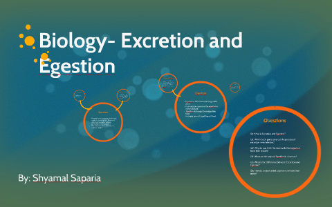 Biology- Excretion and Egestion by Shyamal Saparia on Prezi
