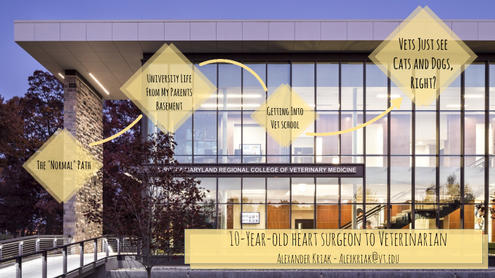 Career and Career Pathway by Alexander Kriak on Prezi