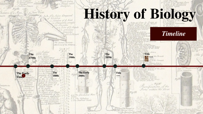 Biology Timeline by An Vi on Prezi
