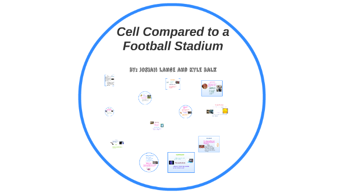 Cell Compared to a Football Stadium by Kari Nydle on Prezi