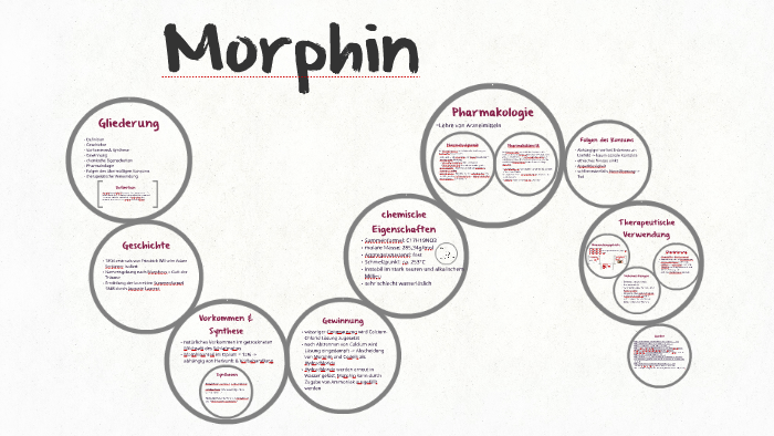 Morphin by Michaela Reiner on Prezi
