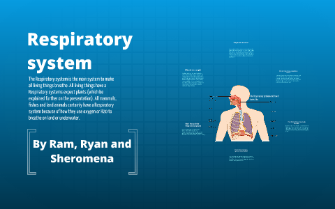 Respiratory system by Ram Ganeswaran on Prezi