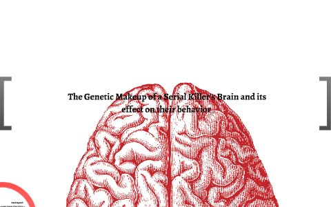 The Genetic Makeup of a Serial Killers brain and it's effec by Meaghan ...