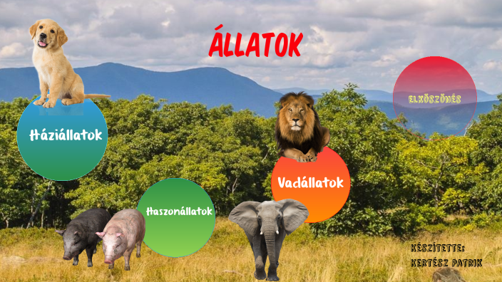 Állatok by Patrik Kertész on Prezi