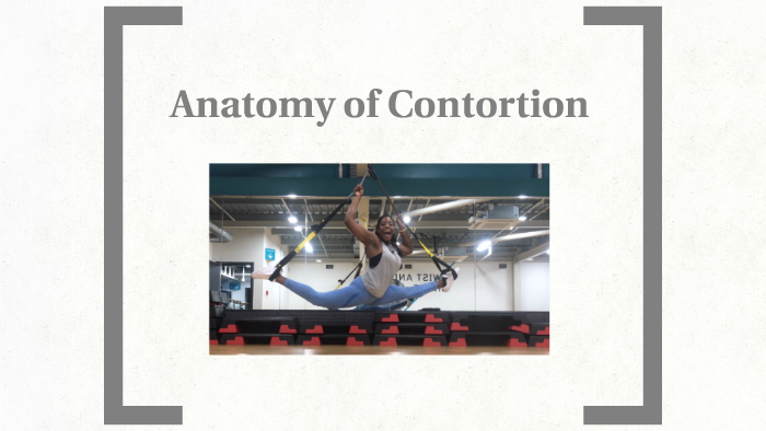 Anatomy of Contortion by Linda Molanga on Prezi