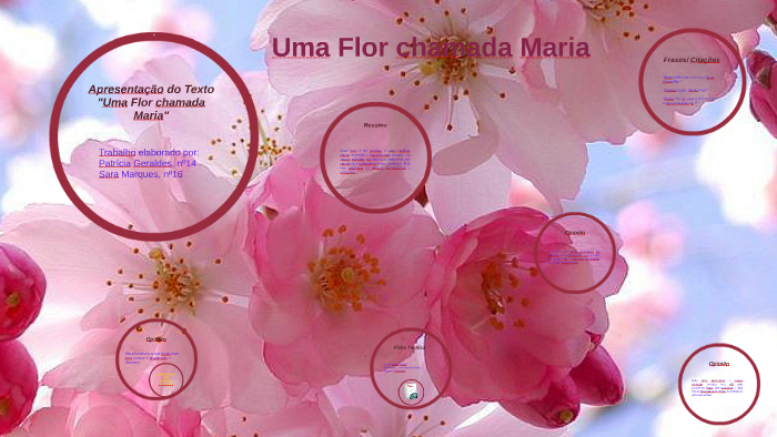 Uma Flor chamada Maria by Sara Marques on Prezi