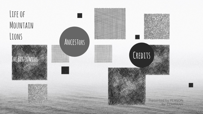 Evolutionary Timeline of a Mountain Lion by Consuelo Falkenhagen on Prezi