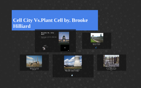 Nucleus Vs. City Hall by Brooke Hilliard on Prezi
