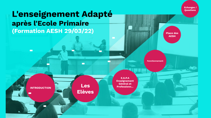 Formation AESH 10/03/20 by Collège Anne Frank on Prezi