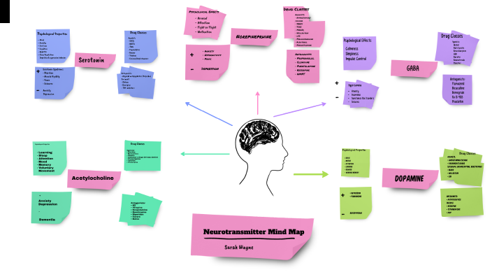 Neurotransmitter Mind Map by Sarah Wayne on Prezi