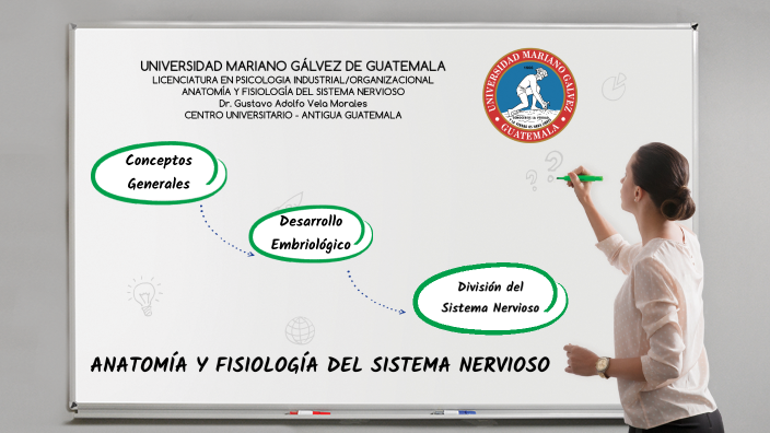 CONCEPTOS GENERALES, DESARROLLO EMBRIOLÓGICO Y DIVISIÓN DEL SISTEMA ...