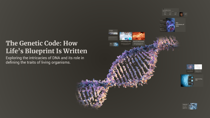 The Genetic Code: How Life’s Blueprint Is Written by Bharti Bhateja on ...