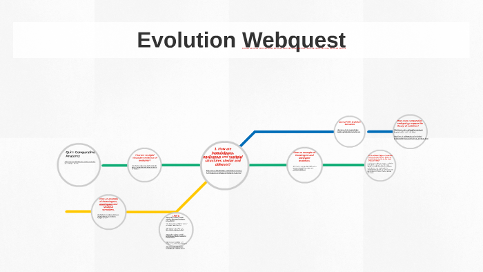 Evolution Webquest by Osambi Tayong