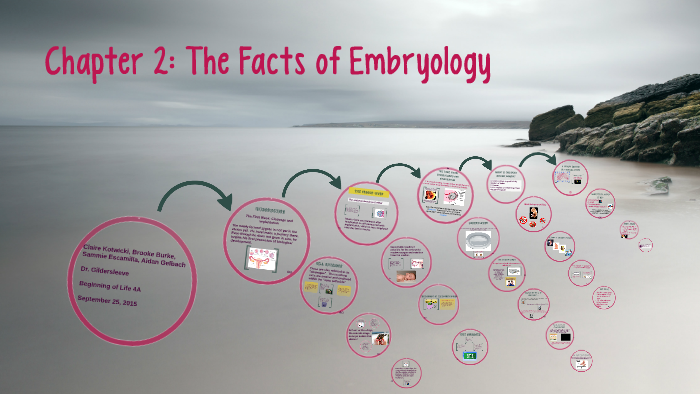 Chapter 2: The Facts of Embryology by Aidan Gelbach on Prezi