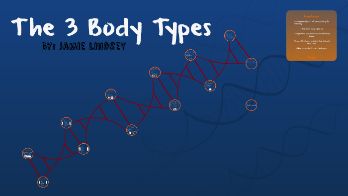 The 3 Body Types by Jamie Lindsey