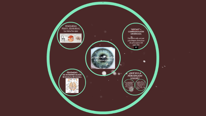 ¿CÓMO PERCIBIMOS LAS IMÁGENES? by Victoria Ortiz on Prezi
