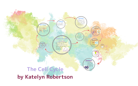 The Cell Cycle by Katelyn Robertson on Prezi
