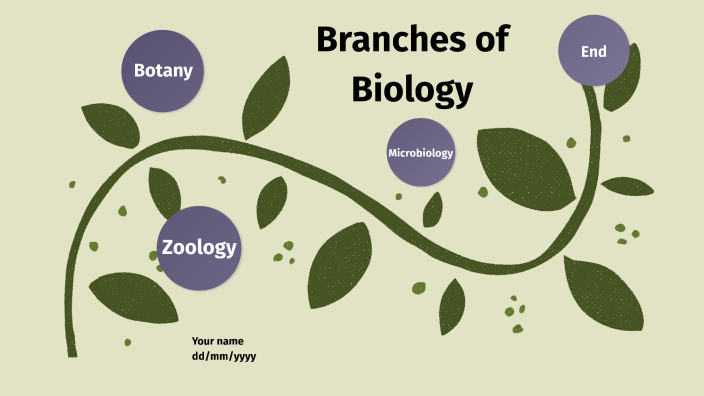 Branches of Biology by Sofia Urroz on Prezi