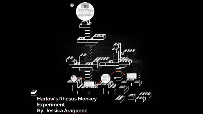Harlow's Rhesus Monkey Experiment by Jessica Aragonez on Prezi