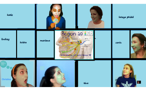 facial nerve by Krista Dotson on Prezi