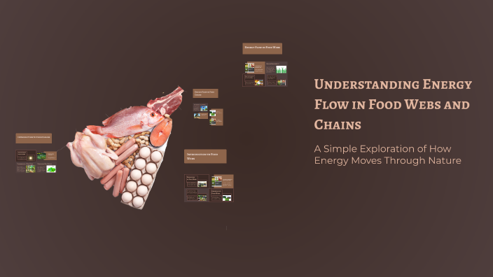 Understanding Energy Flow in Food Webs and Chains by Hudson Yale on Prezi