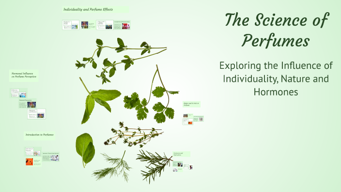 The Science of Perfumes by purple shot on Prezi