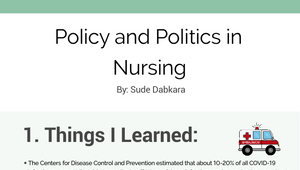 Policy and Politics in Nursing Infographic by Sude Dabkara on Prezi Design