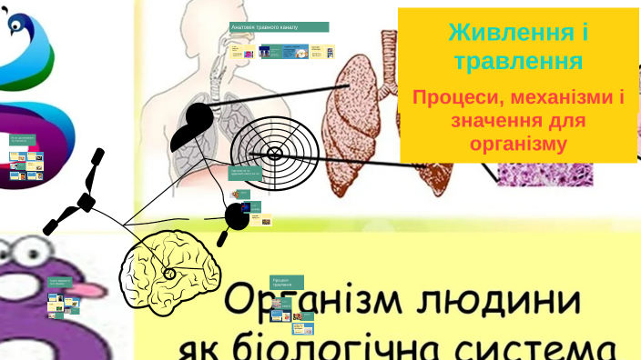 Живлення і травлення людини by Inna Babich on Prezi