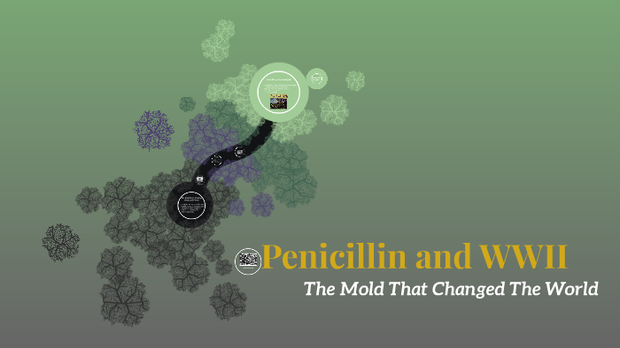 Penicillin and WWII by Emily Heller on Prezi